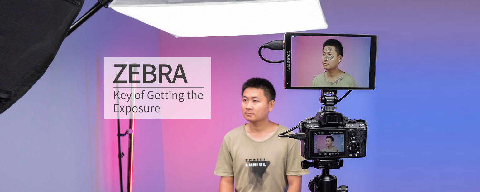 Zebra - The Key of Getting the Exposure of an Image – feelworld ...