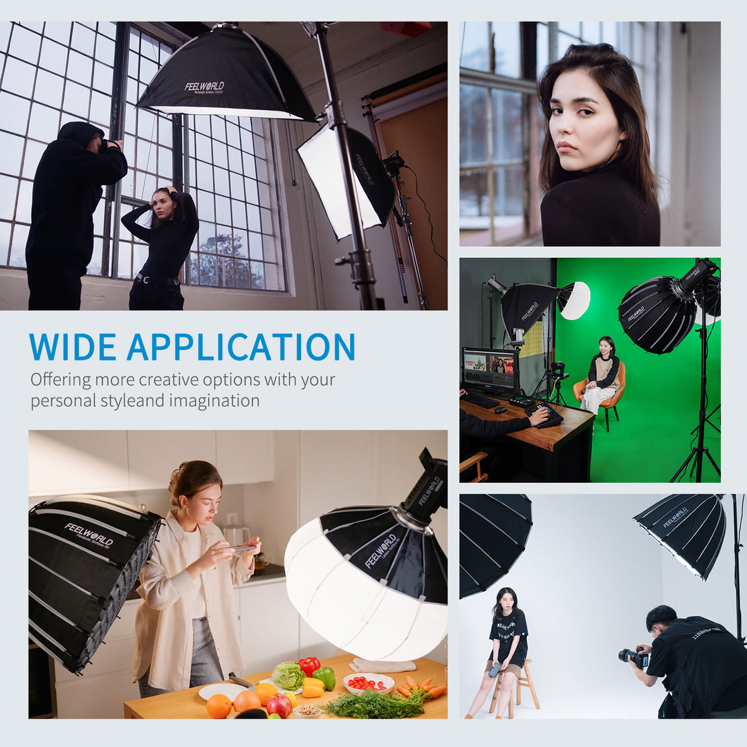 FEELWORLD FL225D 225W 5600K Daylight Point Source Video Studio Light ...